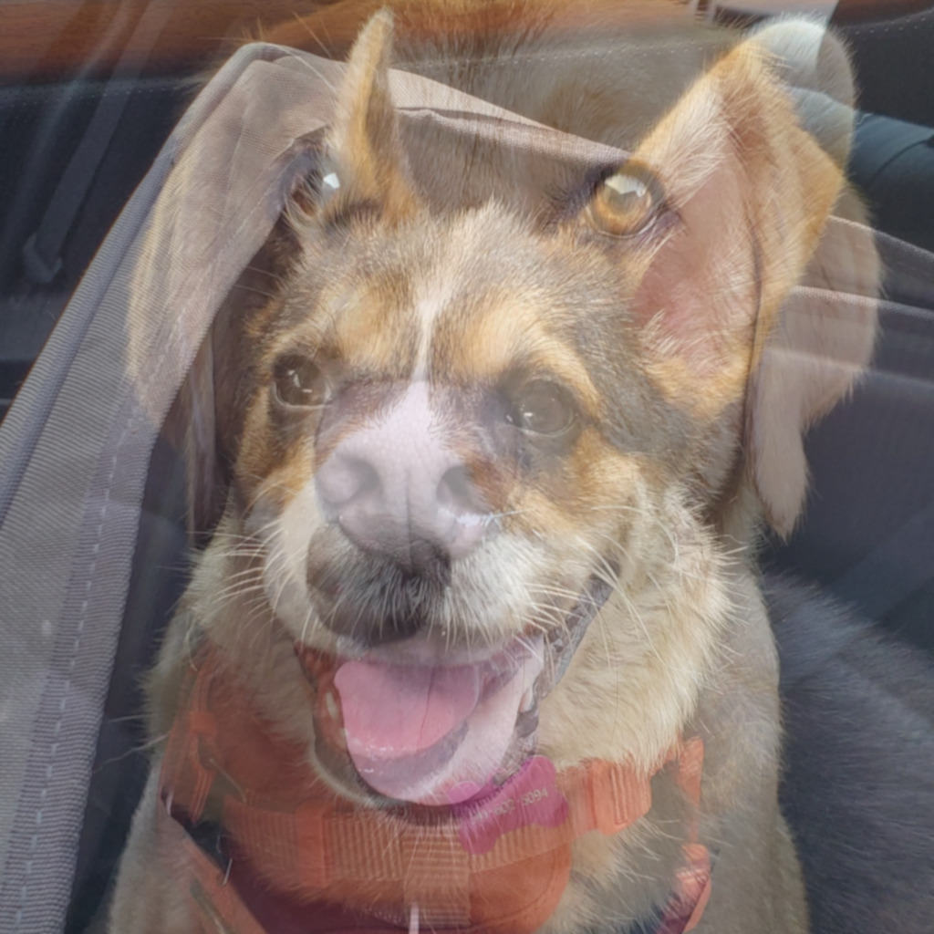 CS 457/557 Project #5